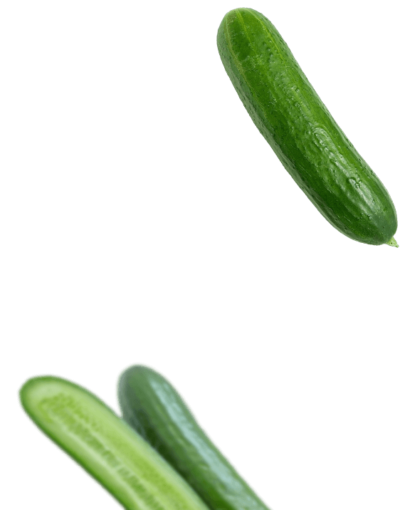 Solutions et produits de soin de la peau - MATRISKIN Maroc